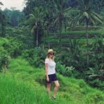 Ubud Tour - Ubud Highlight - Private Tour All inclusive - Who Should Book This Tour?