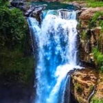 Ubud Tour with all includes - A Closer Look at the Ubud Tour Experience