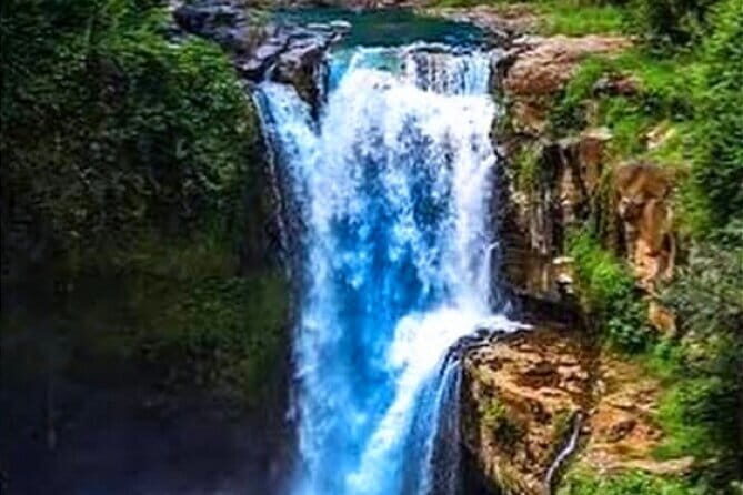 Ubud Tour with all includes - A Closer Look at the Ubud Tour Experience