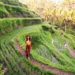 Ubud Tour with Swing, Temple, Monkey Forest, and Waterfall - What We Truly Value in This Tour