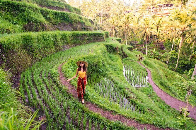 Ubud Tour with Swing, Temple, Monkey Forest, and Waterfall - What We Truly Value in This Tour