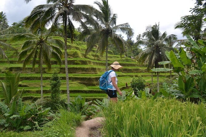 Ubud Traditional Tours - What the Tour Includes and What You’ll Need to Bring