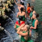 Ubud Waterfall and Kintamani Volcano Tour - Transport & Logistics: What Travelers Need to Know