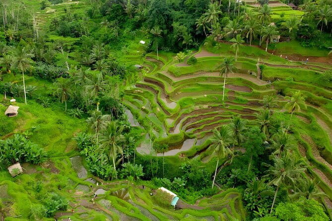 Ubud Waterfall and Tanah Lot Sunset Tour Packages - Additional Stops and Local Villages