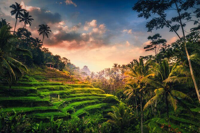Ubud waterfall, rice terraces, and swing explore - What Makes This Tour Stand Out?