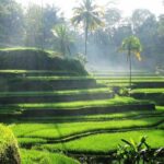 Ubud Waterfall Tour - A Closer Look at the Ubud Waterfall Tour