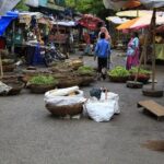 Udaipur by Cycle - An In-Depth Look at the Udaipur by Cycle Experience