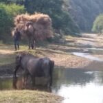 Udaipur sightseeing by tuk tuk or car - A Detailed Look at the Udaipur Tuk Tuk or Car Tour