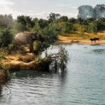 Udawalawa National Park: Private Safari - Who Will Benefit Most?