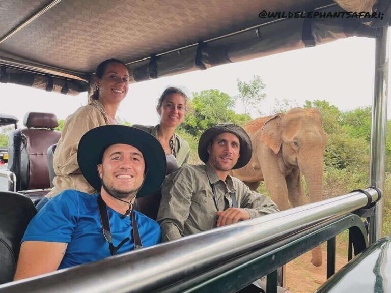 Udawalawa National Park: Safari & Elephant Transit Home Tour - The Itinerary in Detail