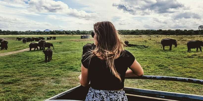 Udawalawe: National Park Safari & Elephant Transit Home Tour - The Value of This Tour