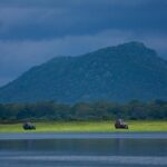 Udawalawe National Park Safari from Hikkaduwa - The Itinerary Breakdown