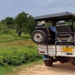 Udawalawe National Park Safari Tour - Why This Safari Stands Out