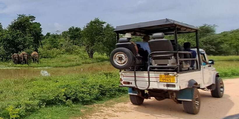Udawalawe National Park Safari Tour - Why This Safari Stands Out