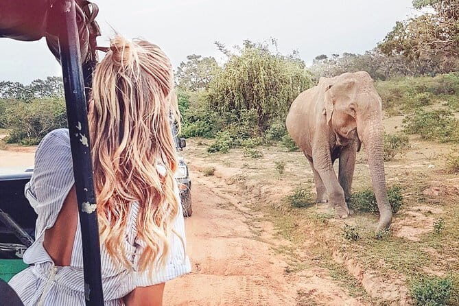 Udawalawe national park tour from bentota with jeep safari - Who Should Consider This Tour?