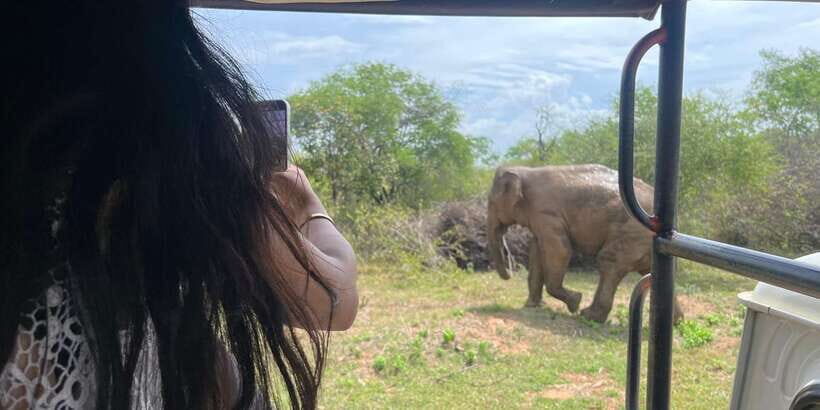 Udawalawe National Park Wildlife Safari from Bentota - Exploring the Itinerary in Detail