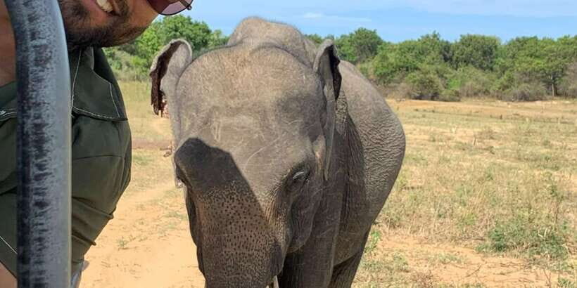 Udawalawe National park with Safari jeep & Entrance ticket - How Does It Compare to Other Wildlife Tours?