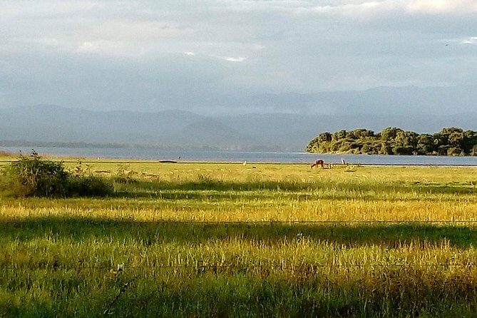 Udawalawe Safari - Private & Customize Tour - Is It Worth the Price?