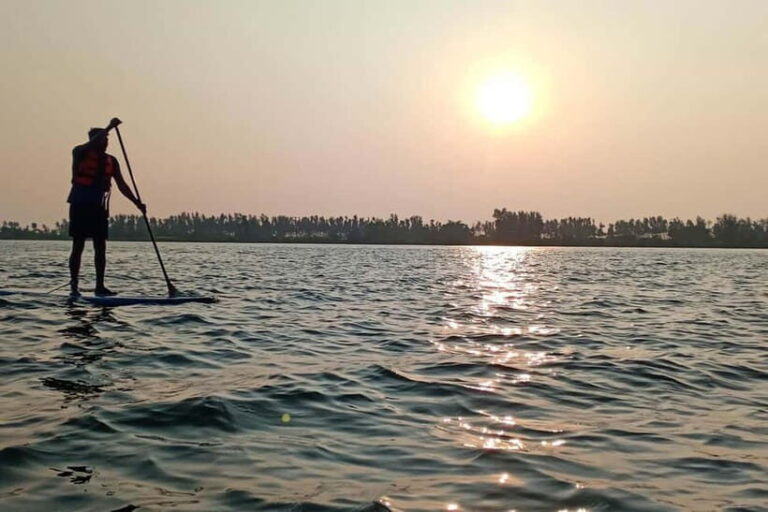 Udupi: Backwaters tour with local cuisine - Why This Tour Is Worth Considering