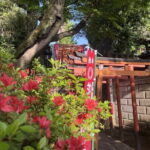 Ueno and Yanaka Culture Art Walking Tour in Old Tokyo - Final Thoughts