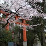 Uji: UNESCO Heritage & Tea Ceremony Walking Tour - Overall Value and Practicalities