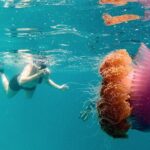 Ukulhas Tour A - 3 Points Snorkeling Tour - Practical Tips for Your Trip