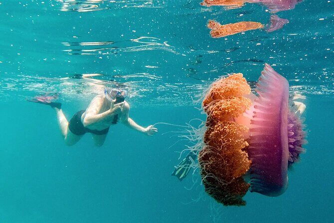 Ukulhas Tour A - 3 Points Snorkeling Tour - Practical Tips for Your Trip