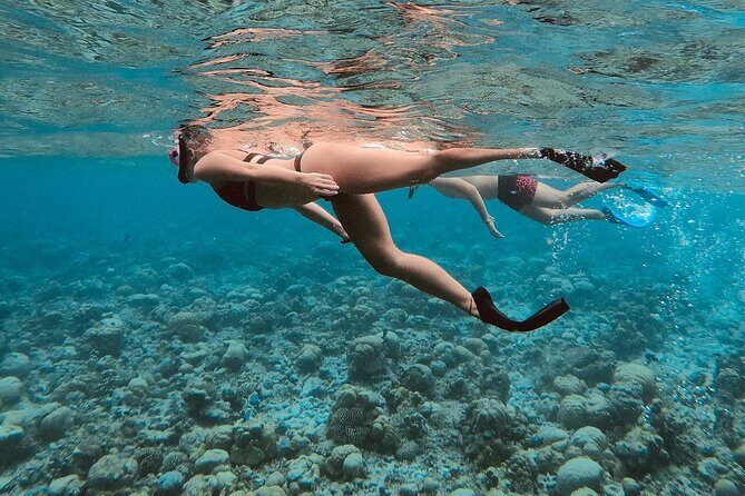 Ukulhas Tour C - Snorkeling & Island Hopping Tour - Why We Think This Tour Is Worth Considering