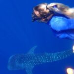 Ukulhas Tour D - Whale Shark Snorkeling & Coral Garden Tour - A Deep Dive Into What Makes This Tour Special
