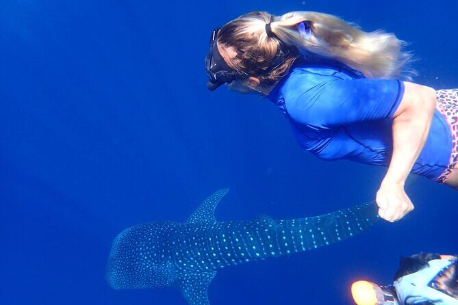 Ukulhas Tour D - Whale Shark Snorkeling & Coral Garden Tour - A Deep Dive Into What Makes This Tour Special