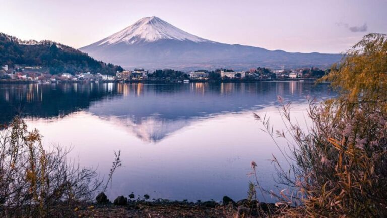 Ultimate Mt. Fuji Private Escape: Day Trip from Tokyo - Transportation: A Stress-Free Ride
