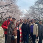 Ultimate Seoul Experience in 2 days - What’s Included and What’s Not