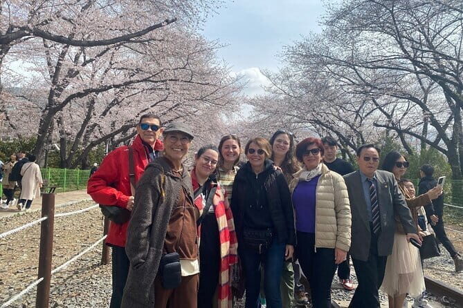 Ultimate Seoul Experience in 2 days - What’s Included and What’s Not