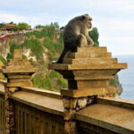 Uluwatu Temple and Kecak Dance Sunset Private Tour - Exploring Bali’s South Shore: An Overview