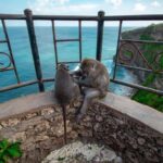 Uluwatu Temple Balangan Beach eBike Private Tour - The Practicalities and What to Expect