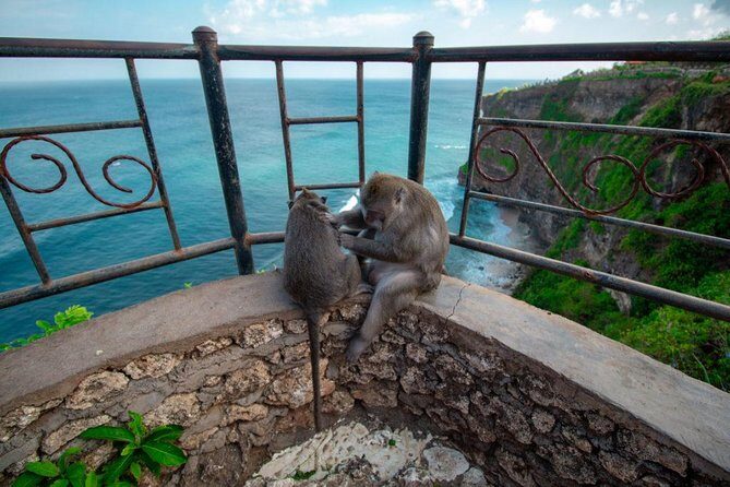 Uluwatu Temple Balangan Beach eBike Private Tour - The Practicalities and What to Expect