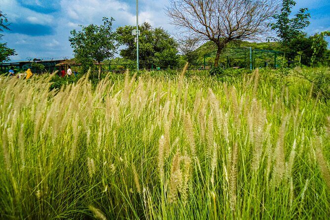 Uncover Hidden Treasures of Rural Life on a Village Tour - Breaking Down the Day: Itinerary Highlights