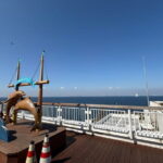 Undersea Tunnel in Tokyo Bay Aqualine - Who Should Consider This Tour?