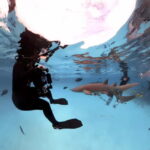 Underwater Photography Course - Final Thoughts