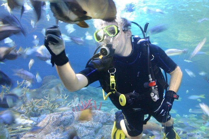 Underwater World in Pattaya Admission Ticket - What’s Included and What’s Not