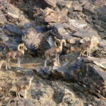 Undiscovered Uzbekistan - Hayat Village Tour from Samarkand - Who Would Love This Tour?