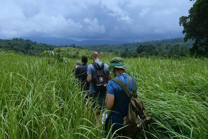 UNESCO Khao Yai National Park Adventure: Hiking & Waterfalls - Costs and Value