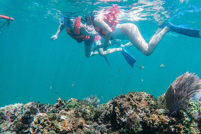 Unforgettable Snorkel Adventure in Cancun whit Transpotations - Who Should Consider This Tour?