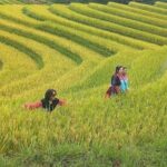 Unforgettable Trekking Experience 6 Hour in Sapa - FAQs