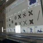 Unique Ninja One Day Experience in Iga - The Practicalities: What to Expect and Consider