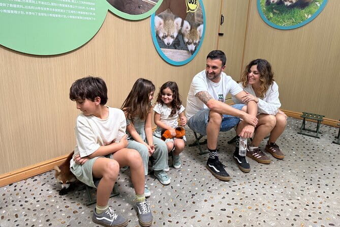 Unique One-Day Tour: Interactive Experience with Red Pandas - Detailed Breakdown of the Experience