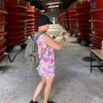 Unique South Phu Quoc Island Private Adventure Tour - Overall Value and Who It’s Best For