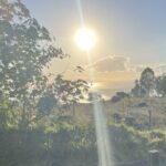 Upcountry Sunset Tour - The Drive and Scenic Stops: Kula to Ulupalakua