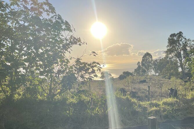 Upcountry Sunset Tour - The Drive and Scenic Stops: Kula to Ulupalakua