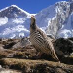 Upper Mustang trek Adventure: Mysteries of forbidden Kingdom - The Itinerary: From Kathmandu to the Forbidden Kingdom